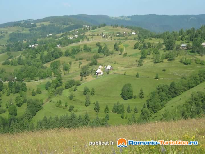Pensiunea Vila Rustica Albac - Cazare Albac