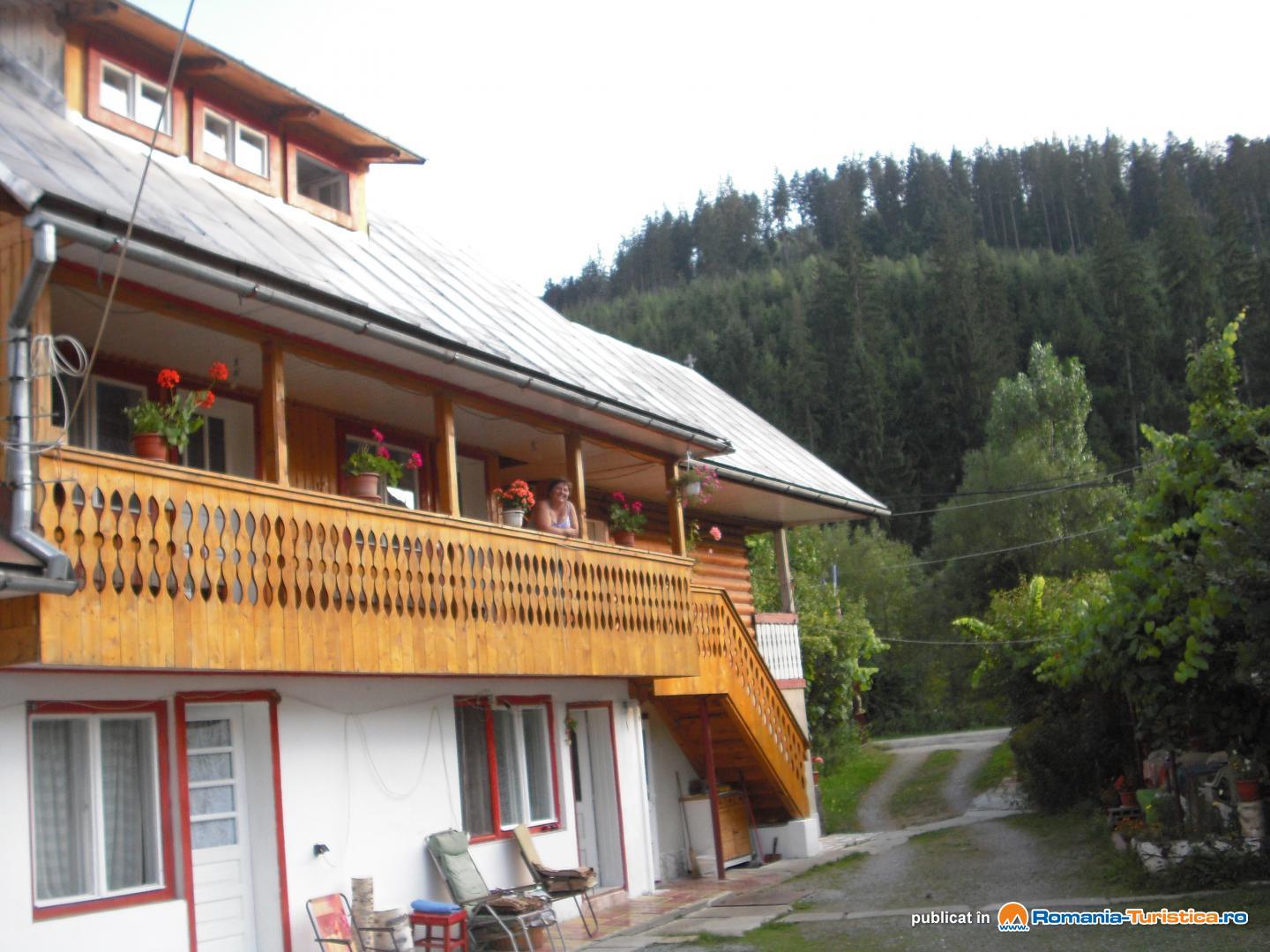 Pensiunea Vila Rustica Albac - Cazare Albac