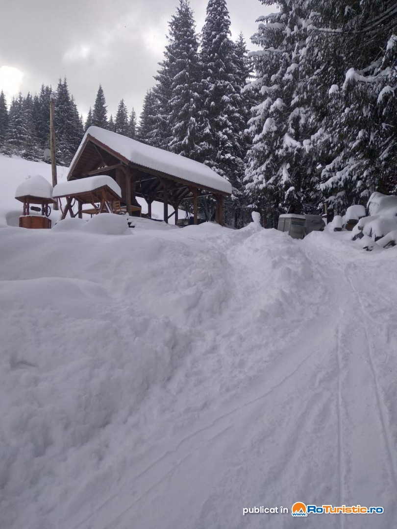 Cabana The Forest Poiana Horea Belis - Cazare Belis