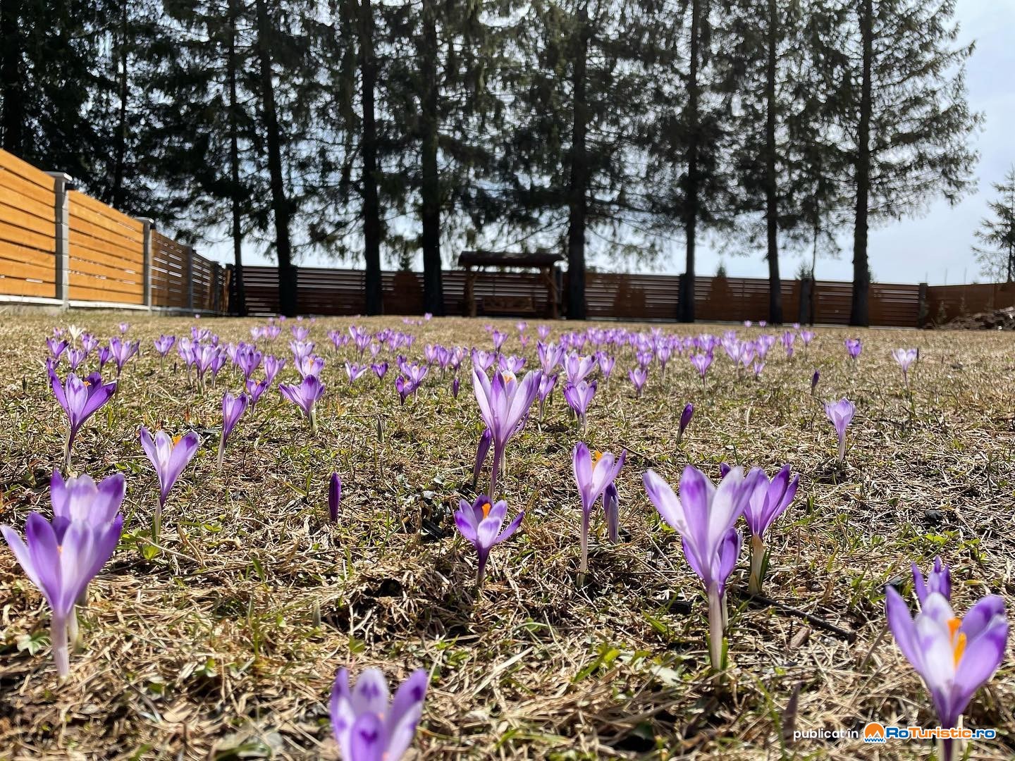 Pensiunea Vis de Apuseni Belis - Cazare Belis