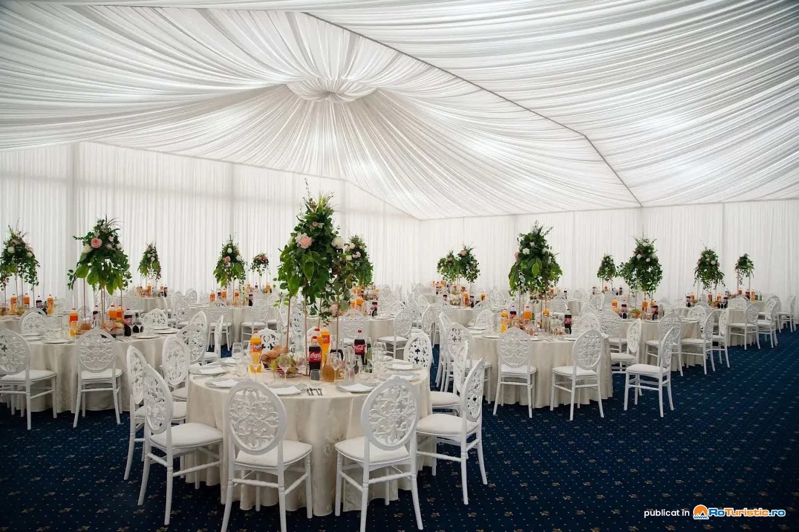 Mario Resort & Event Center Moinesti - Cazare Moinesti