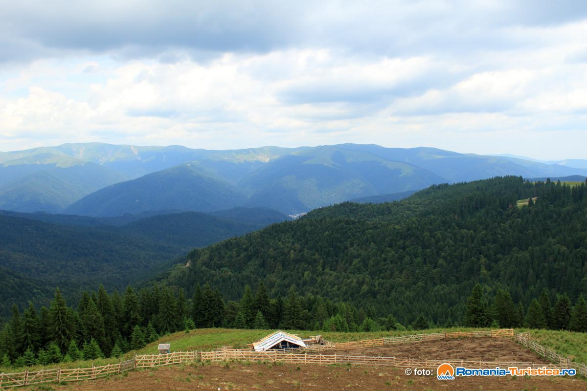 Cabana Zanoaga Padina Pestera - Cazare Padina Pestera