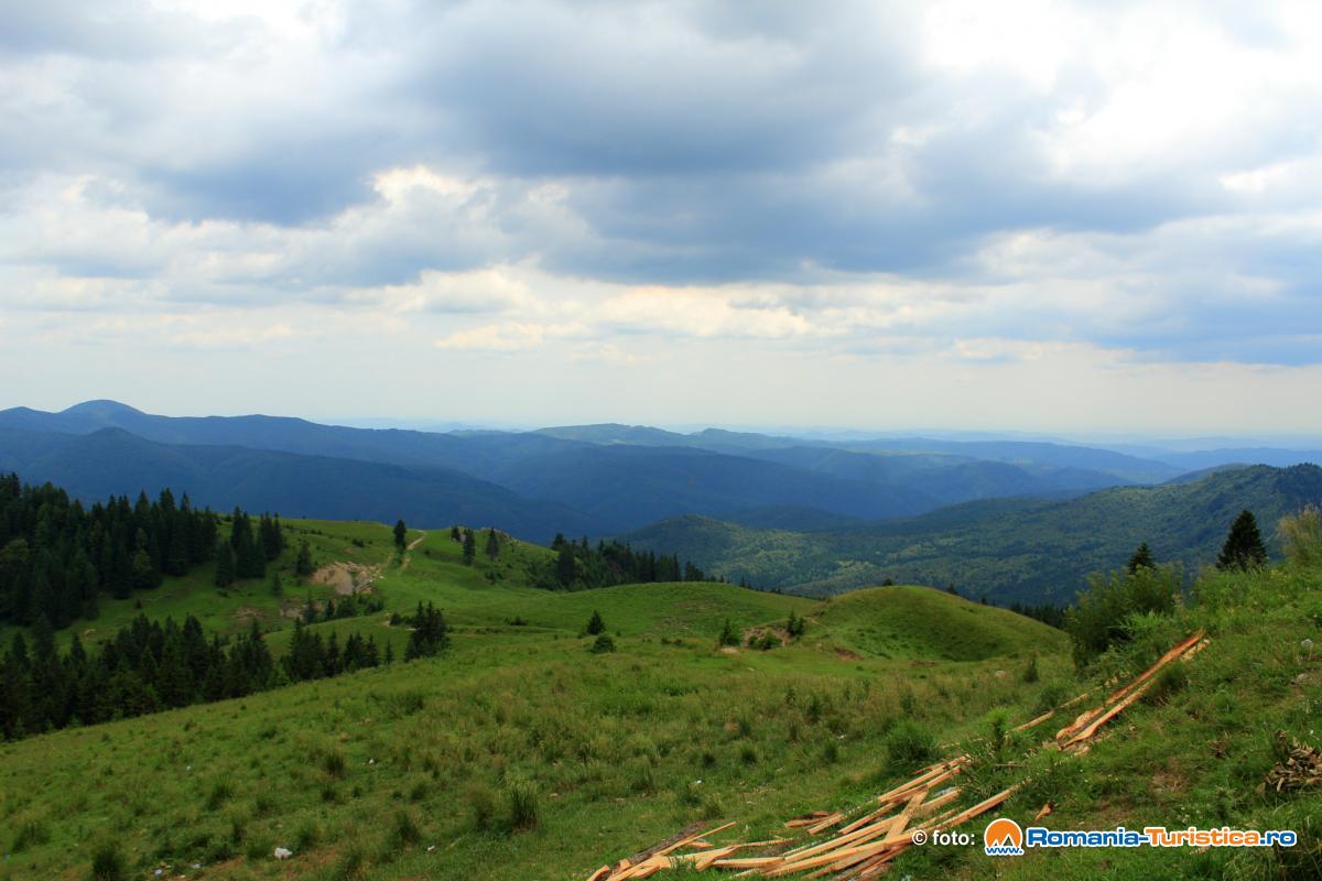 Cabana Zanoaga Padina Pestera - Cazare Padina Pestera