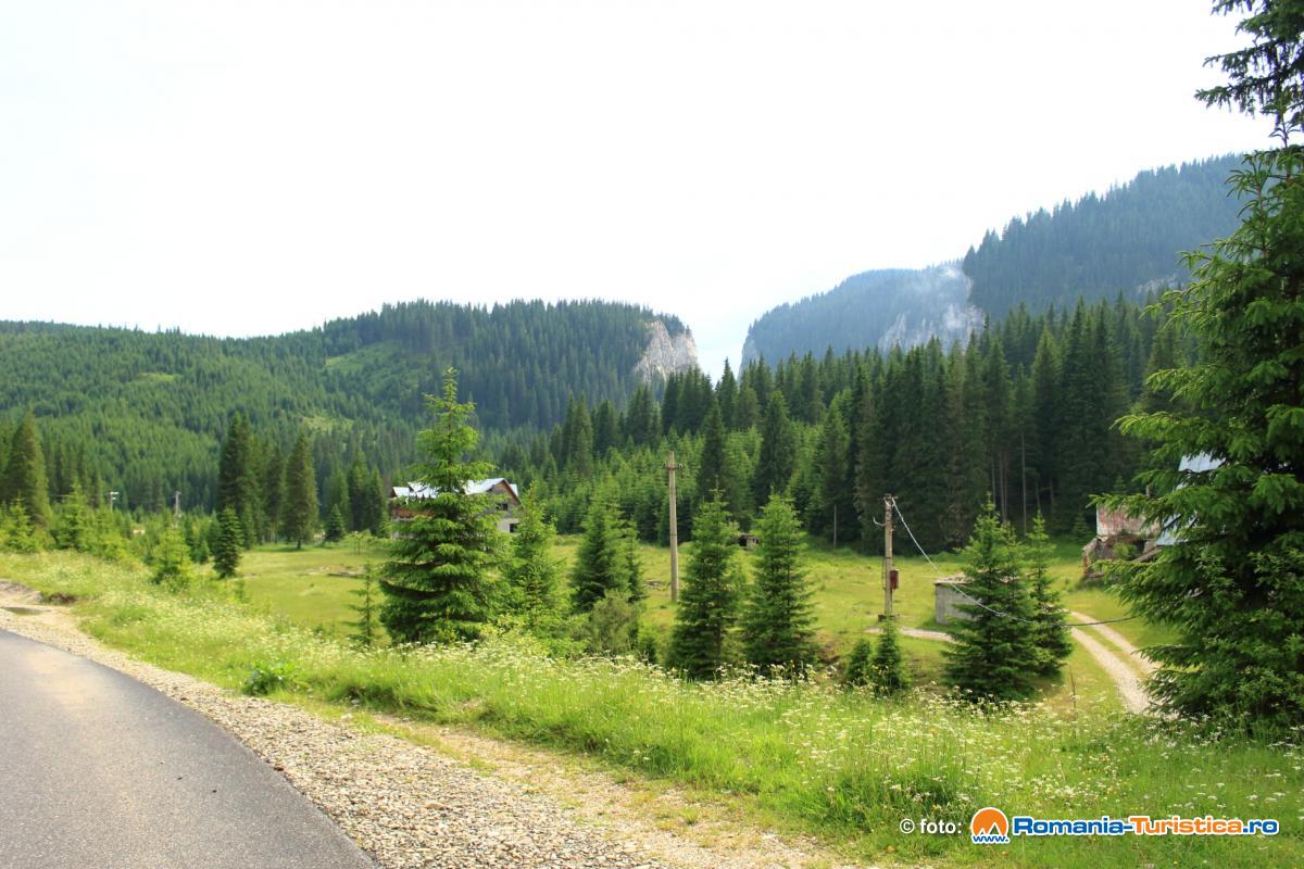 Cabana Zanoaga Padina Pestera - Cazare Padina Pestera