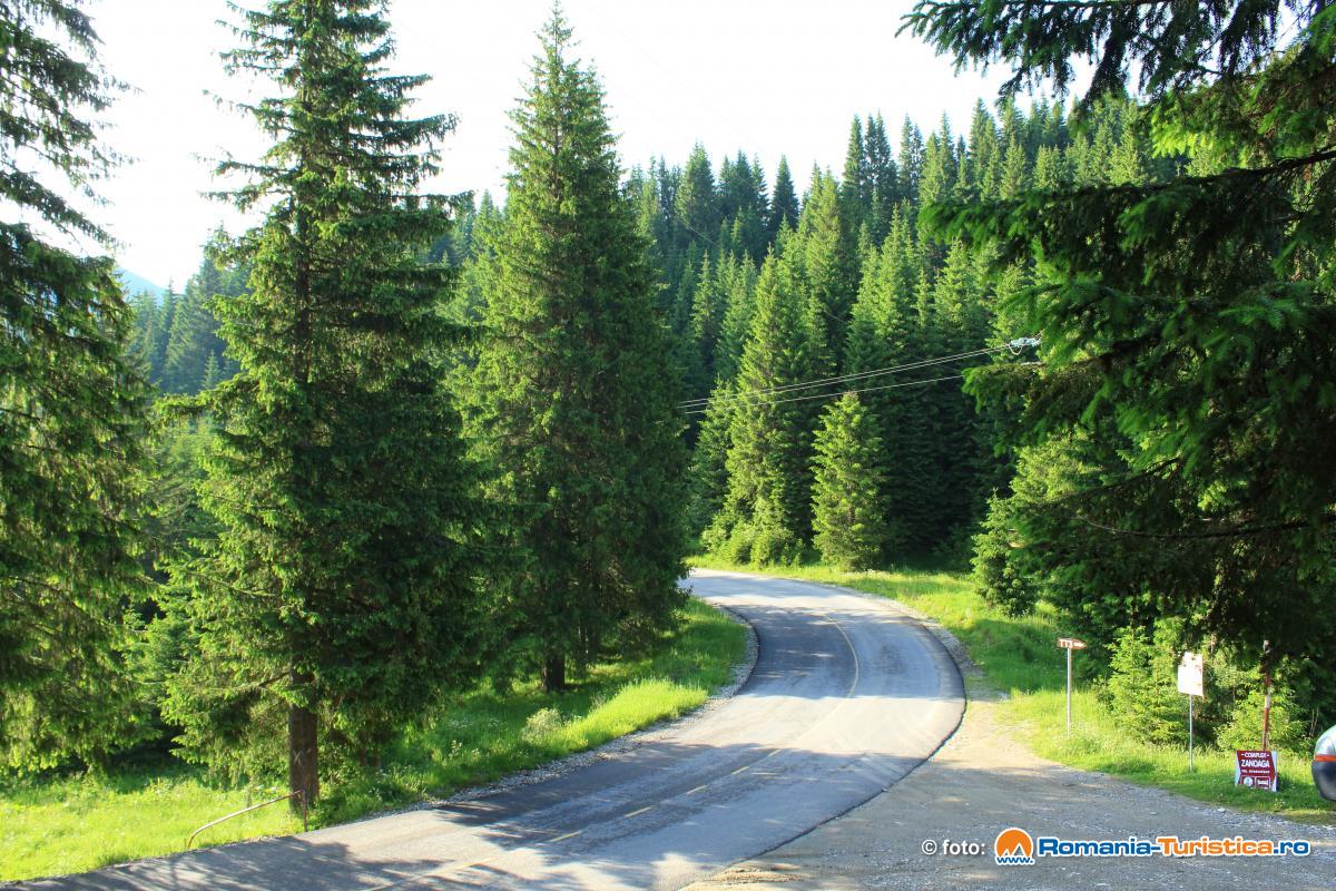 Cabana Zanoaga Padina Pestera - Cazare Padina Pestera
