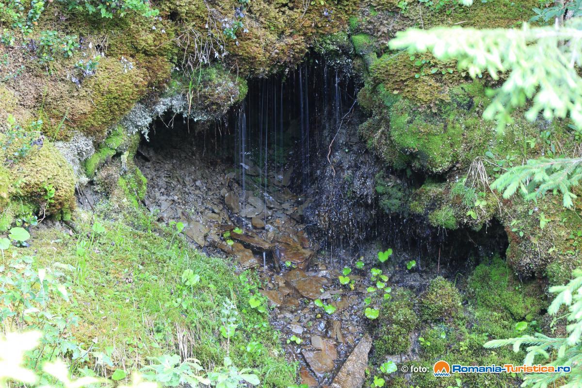 Cabana Zanoaga Padina Pestera - Cazare Padina Pestera