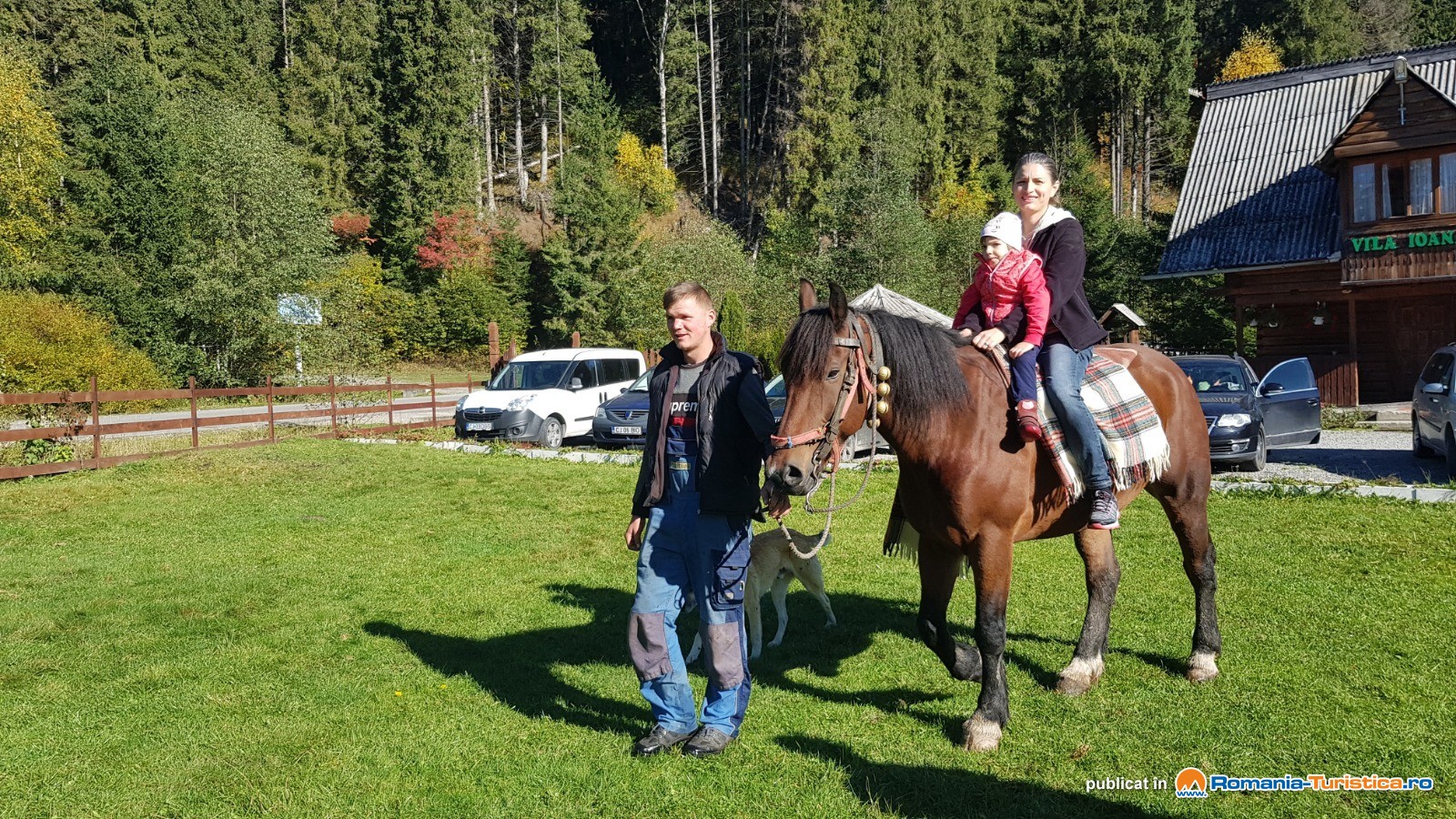 Complex Turistic Tabere Ic Ponor Padis - Cazare Padis