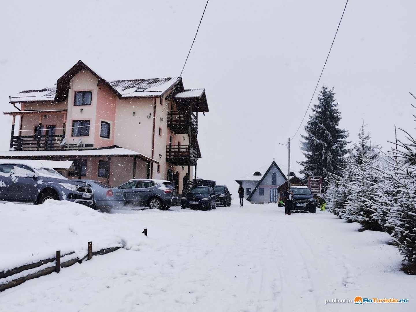 Pensiunea Cocosul de Munte Saru Dornei - Cazare Saru Dornei