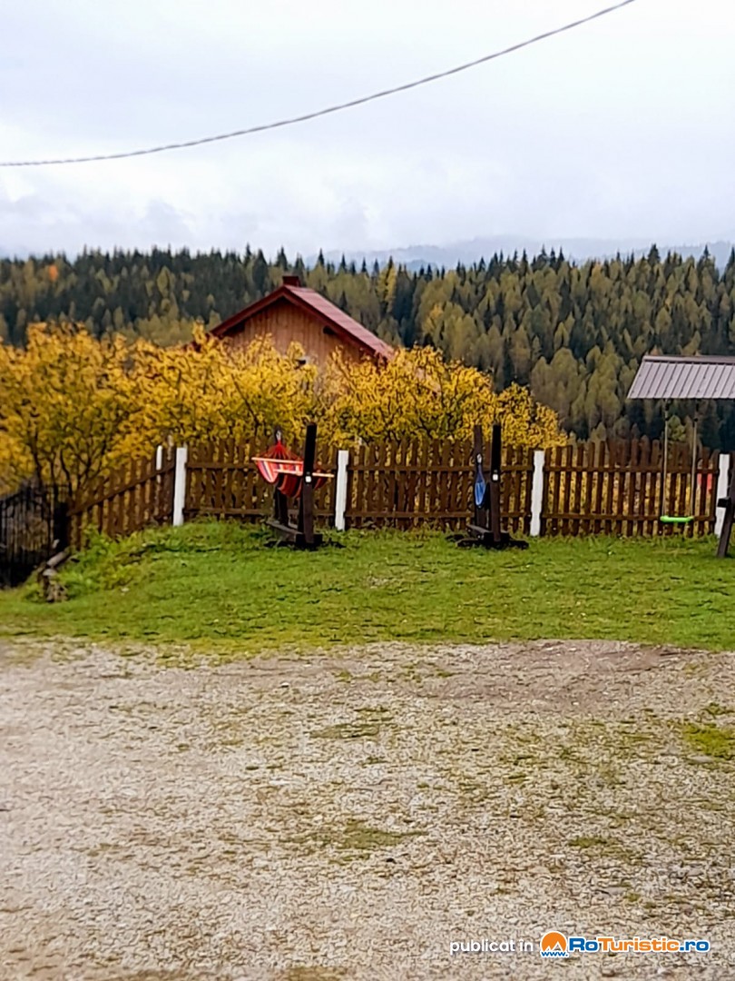 Pensiunea Cocosul de Munte Saru Dornei - Cazare Saru Dornei
